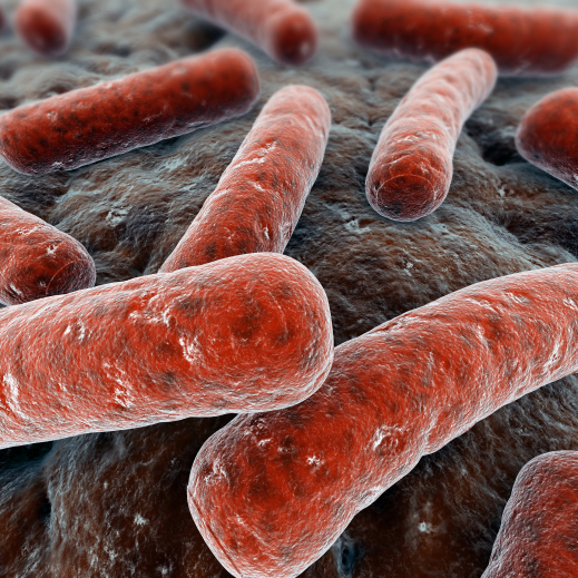 SafeView Nucleic Acid Stain (Improved Formulation) - NBS Biologicals