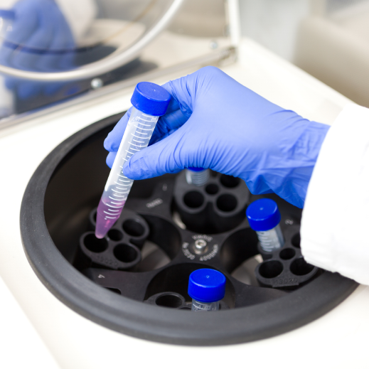 SafeView Nucleic Acid Stain (Improved Formulation) - NBS Biologicals