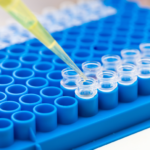 SafeView Nucleic Acid Stain (Improved Formulation) - NBS Biologicals