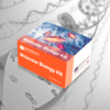 SafeView Nucleic Acid Stain (Improved Formulation) - NBS Biologicals