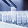 SafeView Nucleic Acid Stain (Improved Formulation) - NBS Biologicals