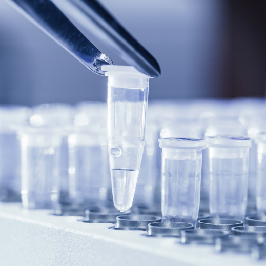 SafeView Nucleic Acid Stain (Improved Formulation) - NBS Biologicals