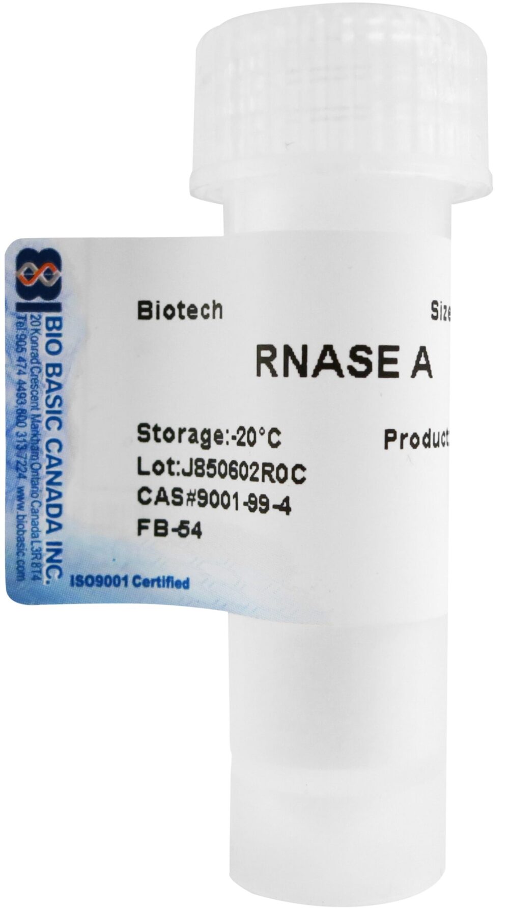 RNase A - NBS Biologicals